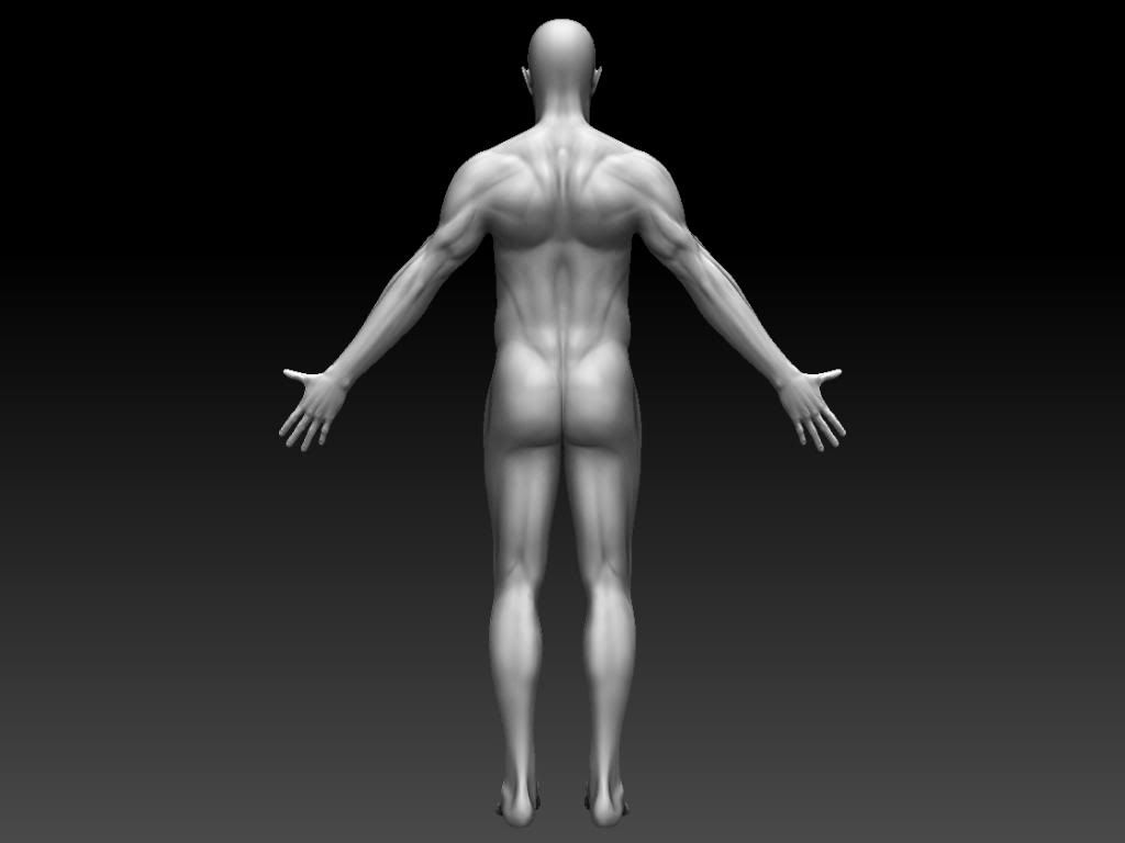 University Body modelling project. — polycount